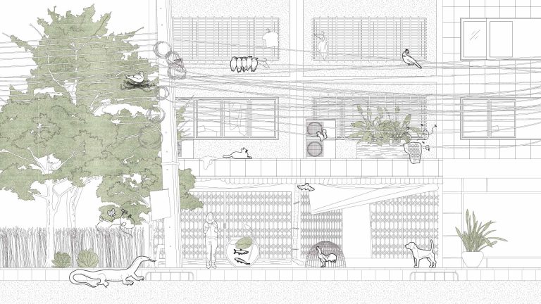 Designing Urban Wildlife Habitat - Shma